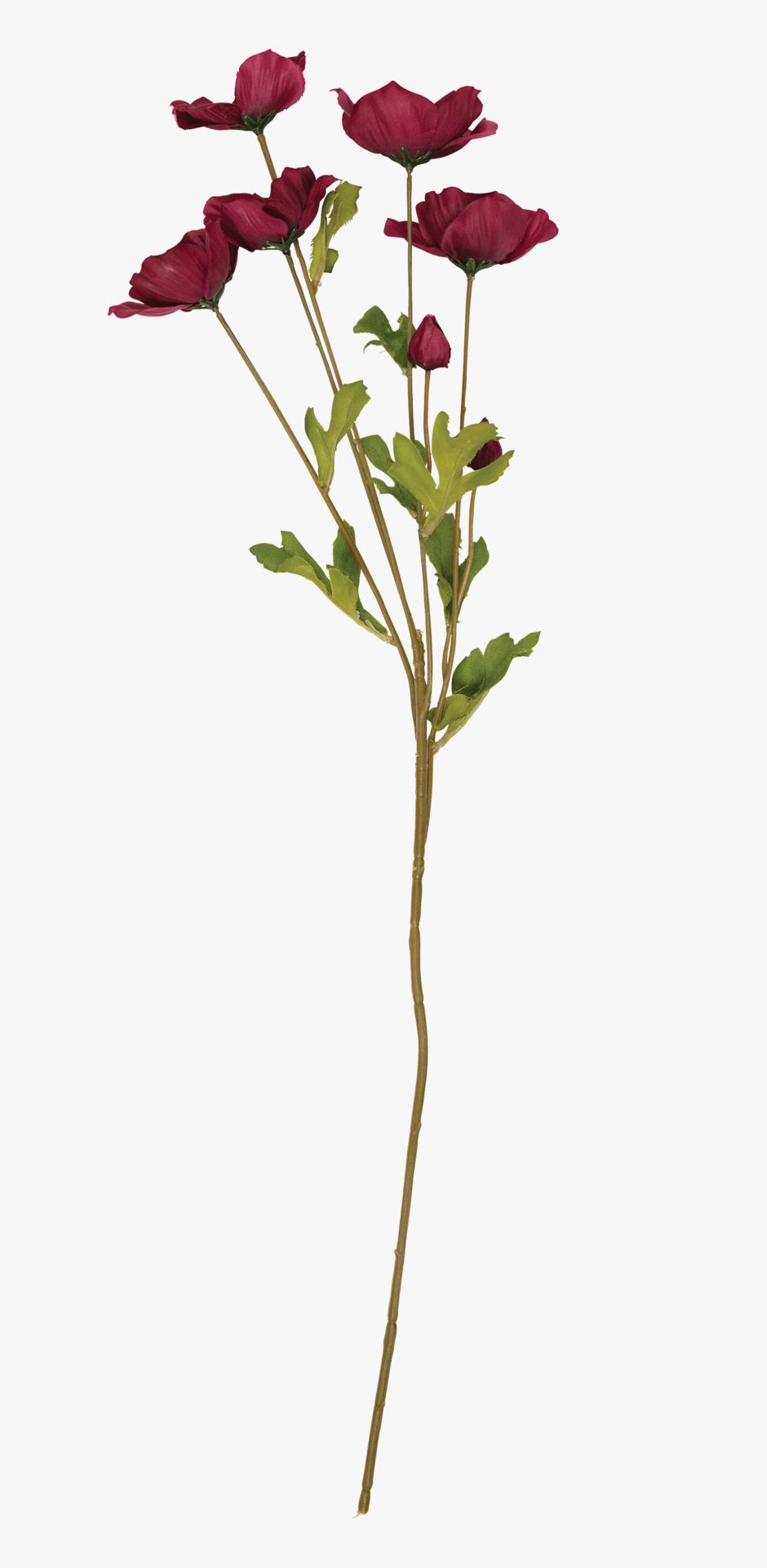 Rose lill tumepunane - Hemtex