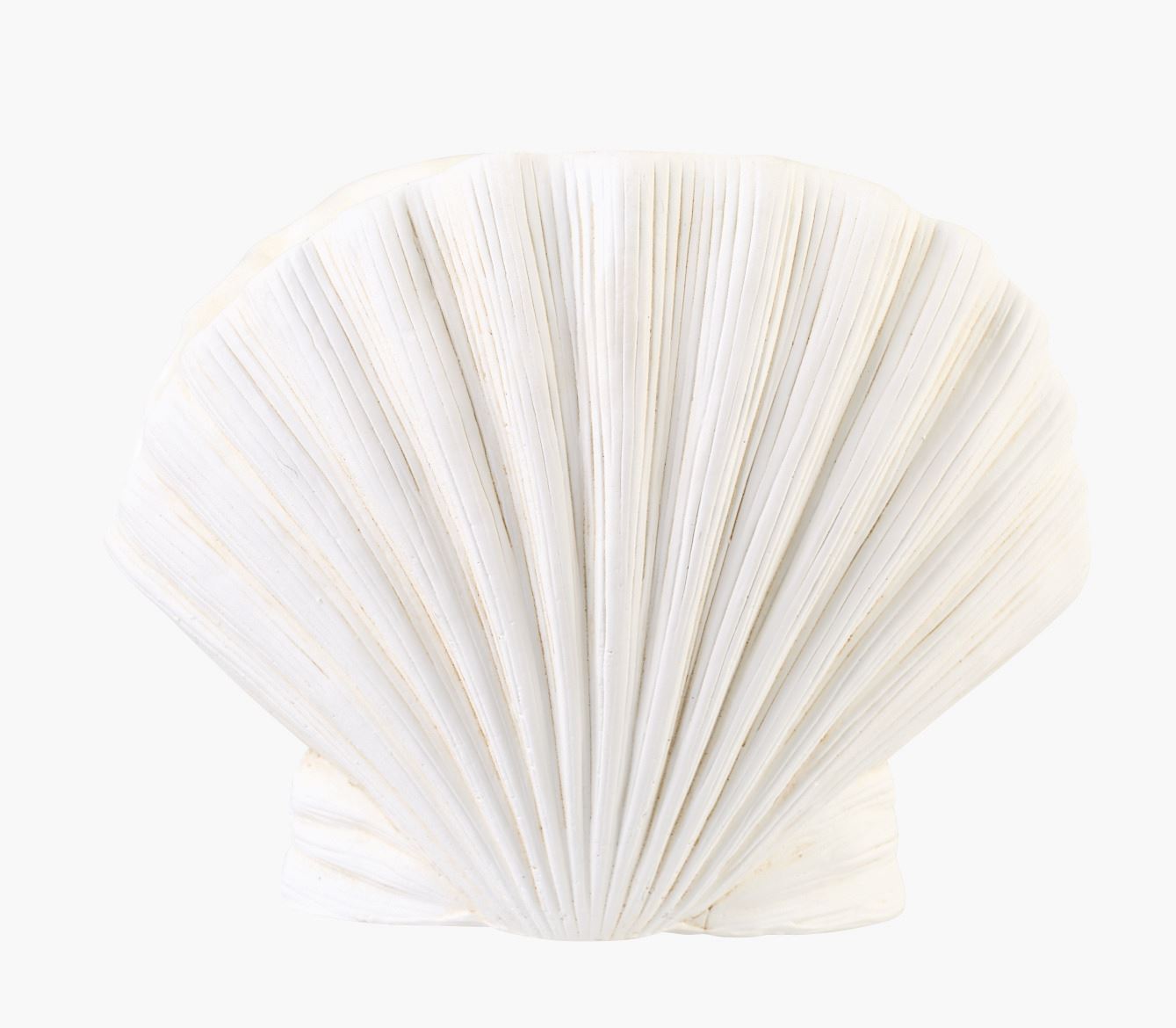 Seashell vaas valge - Hemtex